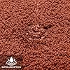 Amazon.com: MIULEE Fall Rust Bathroom Rugs Sets 3 Piece Including U ...