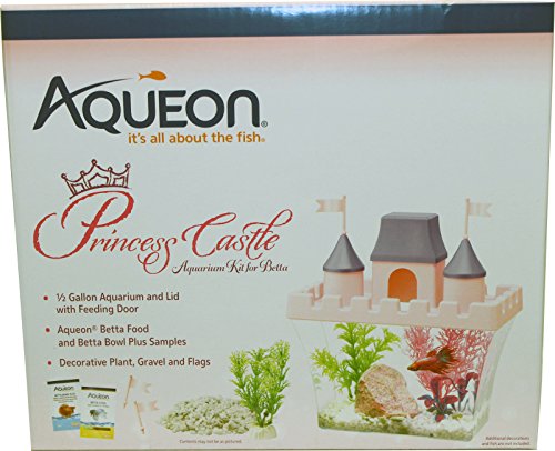 Aqueon Betta Falls Tank: A Detailed Overview - Animals Log