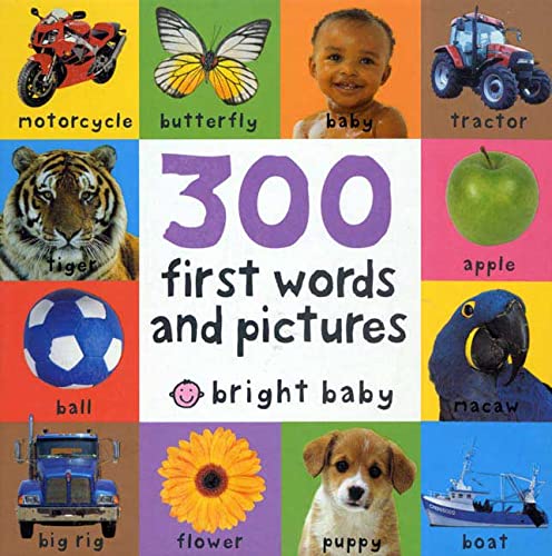 300 First Words and Pictures (Board): Priddy, Roger: 9780312498535 ...