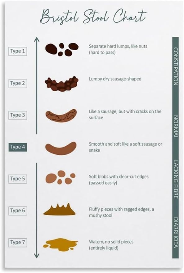 Bristol Stool Chart Diagnosis of Intestinal Constipation and Diarrhea ...