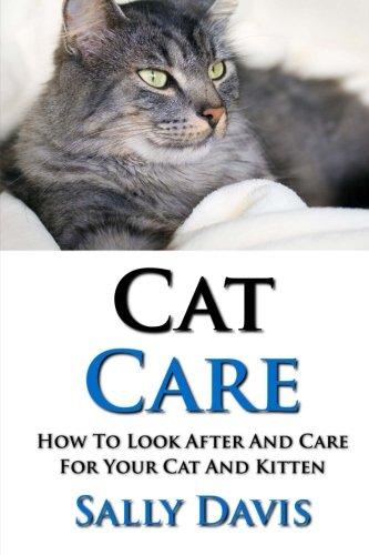 Cat Care: How To Look After And Care For Your Cat And Kitten: Davis ...