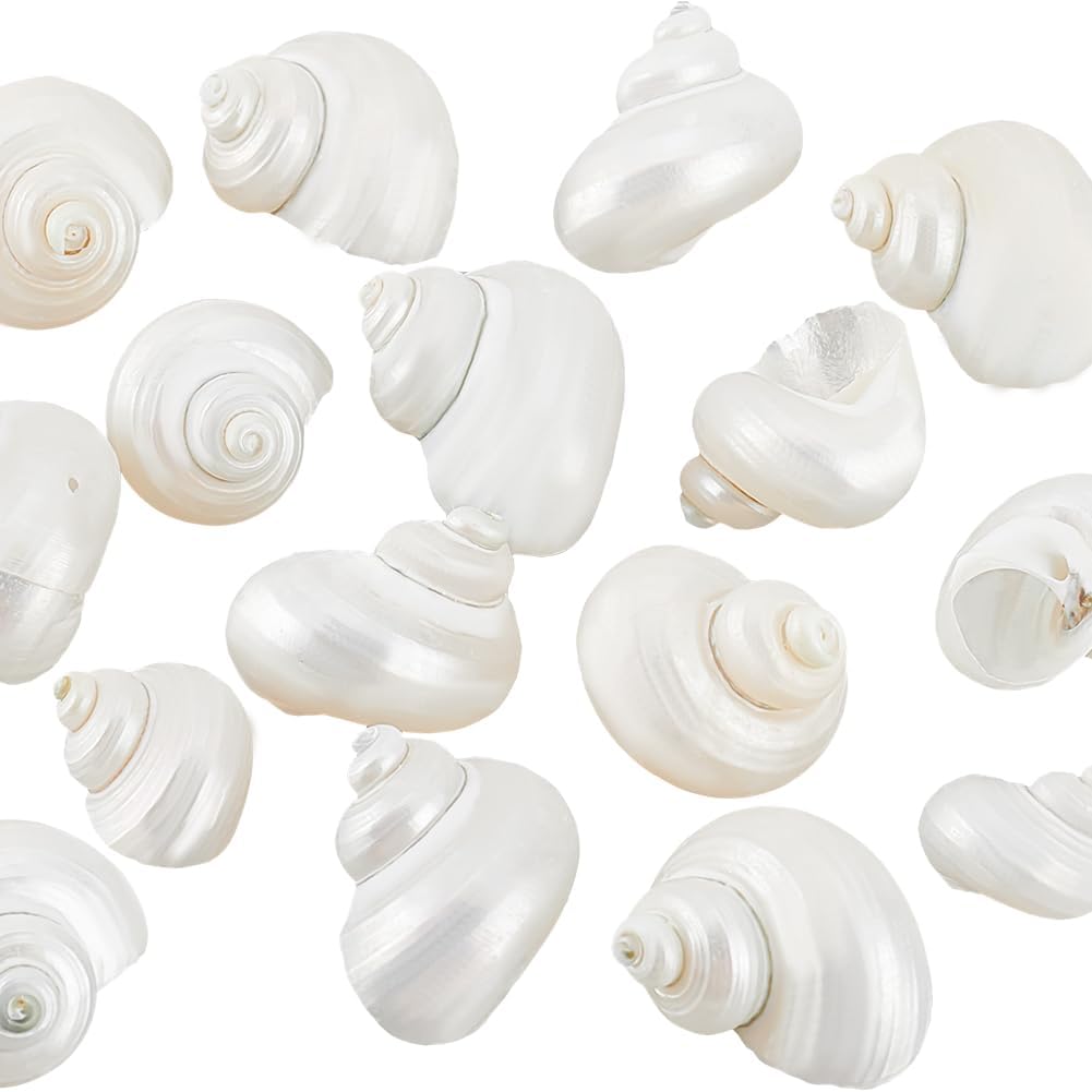 Amazon.com: PH PandaHall 16pcs Natural Spiral Shell Beads, 0.8~1.1 Inch ...