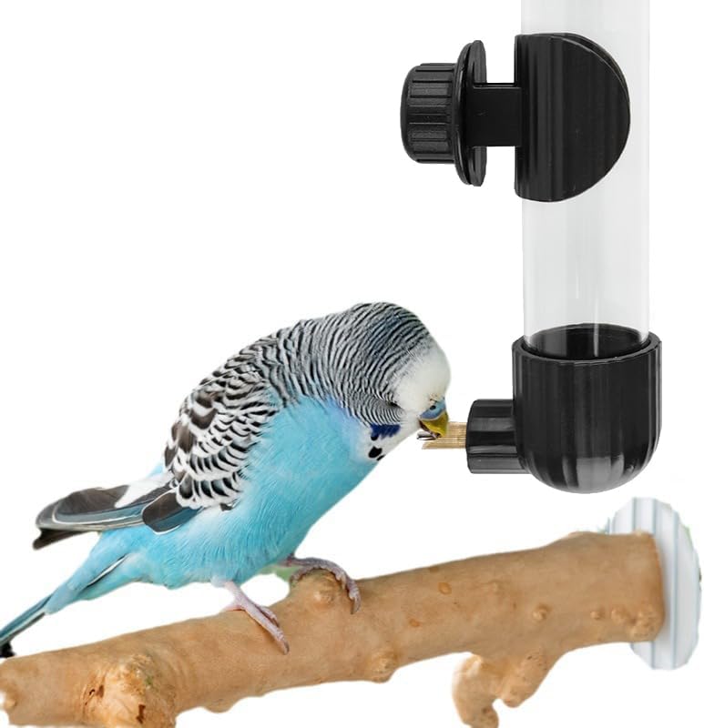Amazon.com : Automatic Bird Water Dispenser 7.43 Oz Hanging Parrots ...