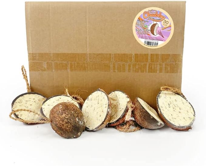 Chubby Suet Filled Coconuts Halves Coconut Feeders Food For Wild Birds ...