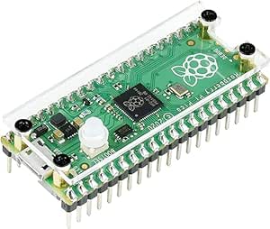Amazon.in: Buy REES52 Acrylic Protection Case for Raspberry Pi Pico/W, Dule-Sided Protection ...
