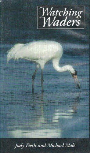 Amazon.com: Watching Waders : Movies & TV