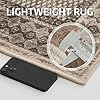 Amazon.com: NICETOWN Machine Washable 3x5 Area Rugs - Non-Slip Brown ...