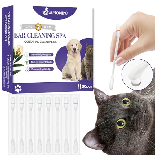 Cat Ear Cleaning – The 15 best products compared - Wild Explained
