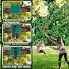 Amazon.com: AGPTEK Disc Swing with Monkey Bars, Tree Swing Set ...
