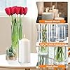 Amazon.com: 48 Pack Thick Glass Cylinder Vases 4,6,9,12 Inch Tall Clear ...
