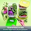 Amazon.com: Tupperware FridgeSmart Food Storage Container - Small Deep ...