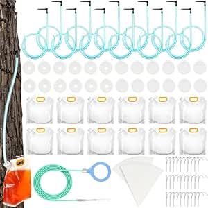 Amazon.com : Maple Syrup Tapping Kit 12 Set Maple Tree Tapping Kit ...