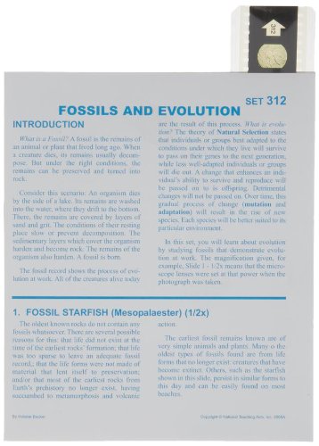 American Educational Microslide Fossils and Evolution Lesson Plan Set ...