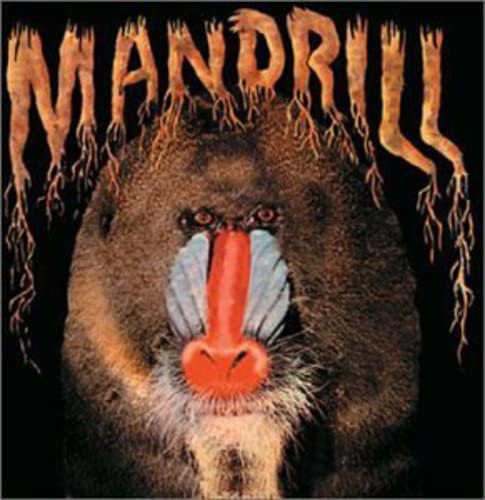 Mandrill - Mandrill - Amazon.com Music