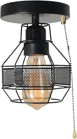 Beuhouz Black Metal Mesh Cage Pull String Light Fixture, 1-Light Small ...