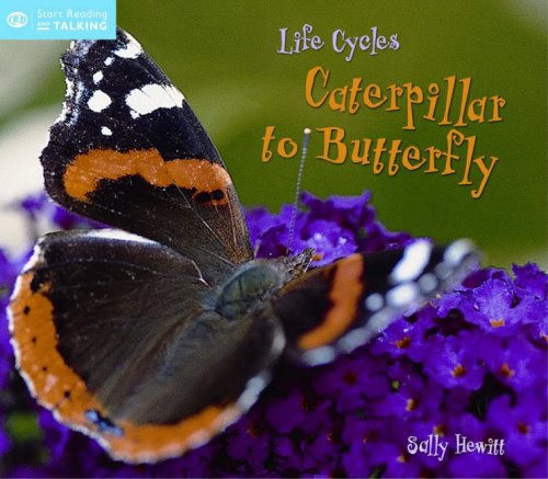Life Cycles: From Caterpillar to Butterfly (Start Talking S.): Amazon ...