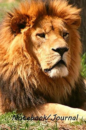 Notebook/Journal: - Lion #1 - Wildlife and Inspirational Notebook ...