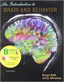 Amazon | Introduction to Brain and Behavior + Psychology + Real World ...