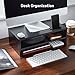 LORYERGO Monitor Stand, Monitor Riser, 2 Tier Computer Stand, Monitor ...