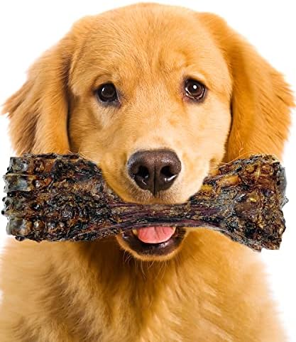 Are Bones Easily Digested By A Golden Retriever