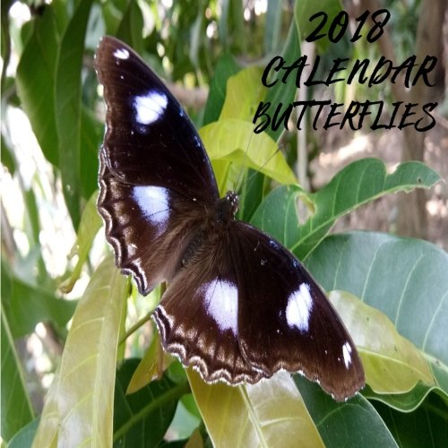 2018 Calendar Butterflies: Wall Calendar 2018 Butterfly Mini 8.5 x 8.5 ...