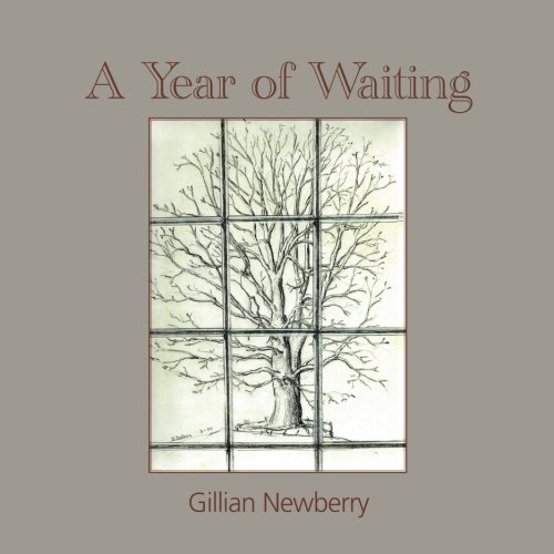 A Year of Waiting: Newberry, Gillian: 9781975989354: Amazon.com: Books