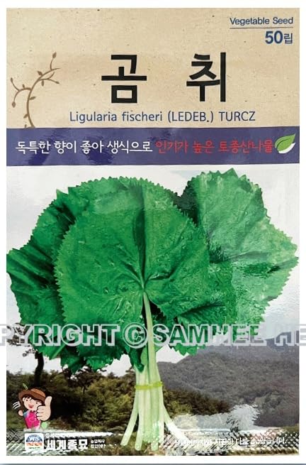 Amazon.com : Gomchwi Plant Seeds Korean 1Pack 4Gram (곰취) : Patio, Lawn ...