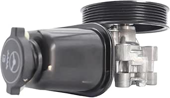 Amazon.com: 95048324 Power Steering Pump Compatible for Chevrolet ...