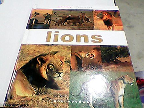 Lions: John Woodward: 9781904594611: Amazon.com: Books