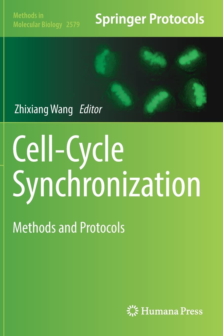 Cell-Cycle Synchronization: Methods and Protocols (Methods in Molecular Biology, 2579): Wang ...