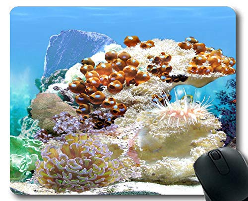 Yanteng Mouse pad Personalized,Cuttlefish Theme of Full of Personality ...