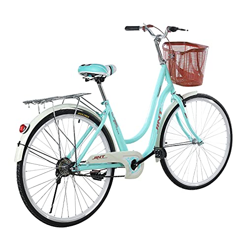 26 Inch 1 Speed Classic Retro Style Bike with Basket and Seat, Cruiser ...