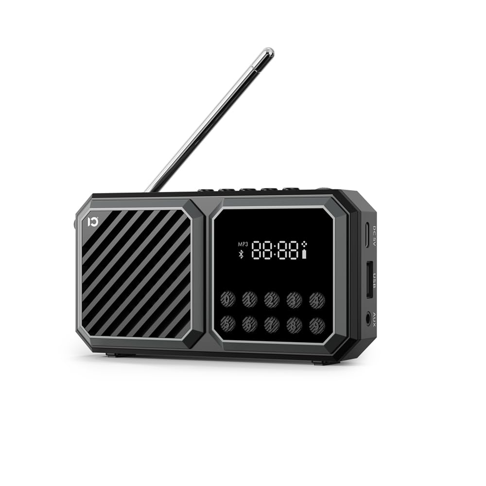 Amazon.com: SHIDU Portable FM Radio with Bluetooth Speaker, Tf Card ...