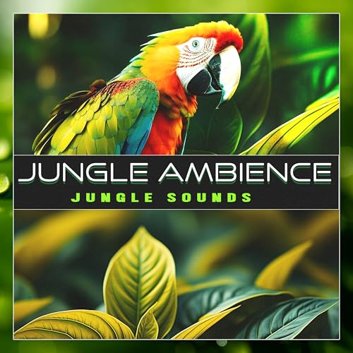 Amazon Music - Jungle SoundsのJungle Ambience - Amazon.co.jp