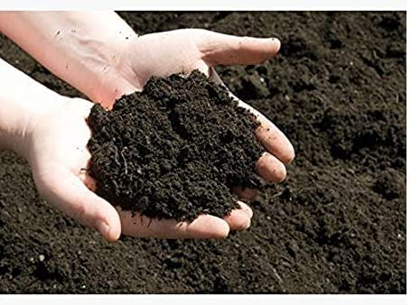 Organic Manure, Best for Home Plants and Vegetable Garden 5 kg, jaivik ...