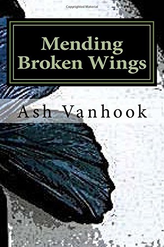 Mending Broken Wings: Ash Vanhook: 9781514147696: Amazon.com: Books