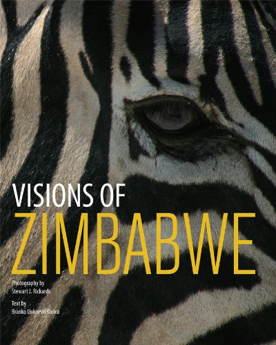 Visions of Zimbabwe: Stewart J. Rickards: 9780797440661: Amazon.com: Books
