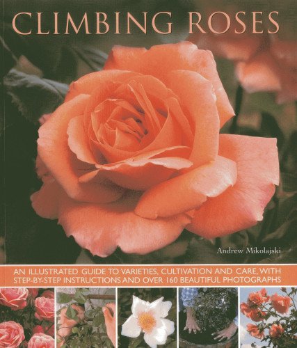 Climbing Roses: An Illustrated Guide to Varieties, Cultivation and Care ...