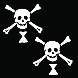 Amazon.com: Auto Vynamics - PPFS-JR05-6-GWHI - Gloss White Vinyl "Jolly ...