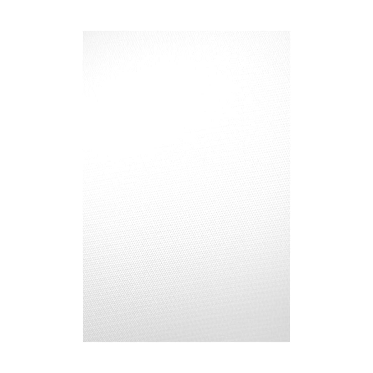 Buy Savage Vinyl Backdrop - Color Pure White, Size 5 Feet Wide x 12 ...