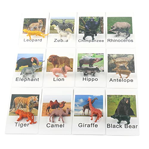 Free Zoo Animals Preschool Lesson Plans - Stay At Home Educator