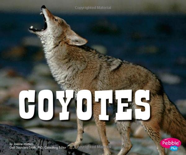 Coyotes (North American Animals): Mattern, Joanne: 9781429679237 ...
