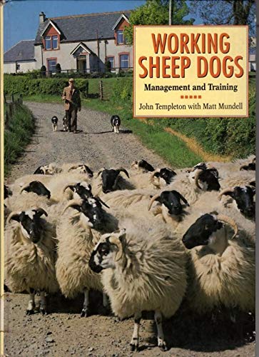 Working Sheepdogs: Management and Training: Templeton, John, Mundell ...