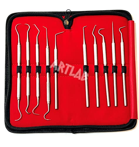 The 28 Best Lab Dissection Instruments of 2025 [Verified] - Cherry Picks