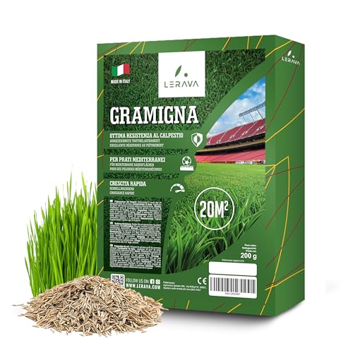 Prato di gramigna: come si fa, quanto costa, come si cura - Giardino Curato