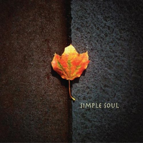 Amazon.com: In the Light : Simple Soul: Digital Music