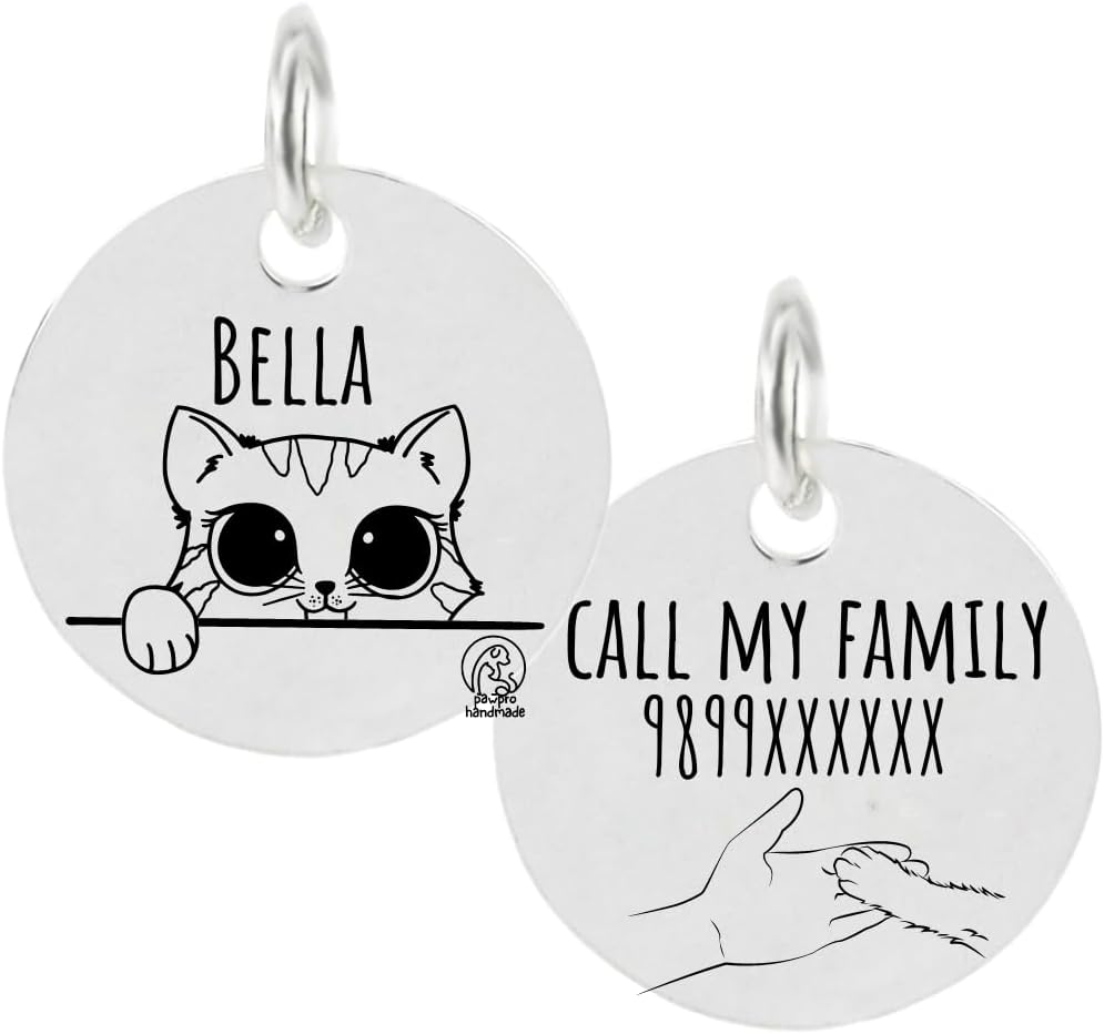 PAWPRO HANDMADE Personalized Engraved Cat Name Tag Personalized With ...