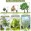 Amazon.com : FiberX Large Fruit Tree Netting Frame Kit, 50x50 FT Bird ...