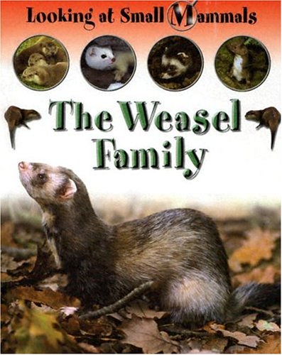 Buy The Weasel Family (Looking at Small Mammals) Book Online at Low ...