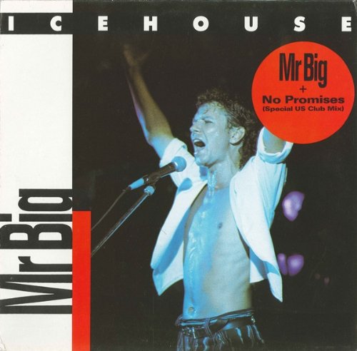 Mr. big (Ext./Single Versions)/No promises (Special US Club Mix, 1986 ...